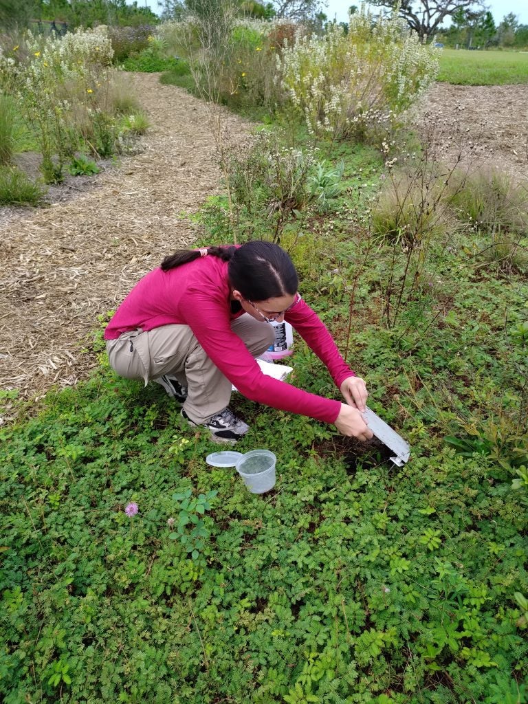 Congratulations to Alessandra Pandolfi! - Urban Ecology Lab