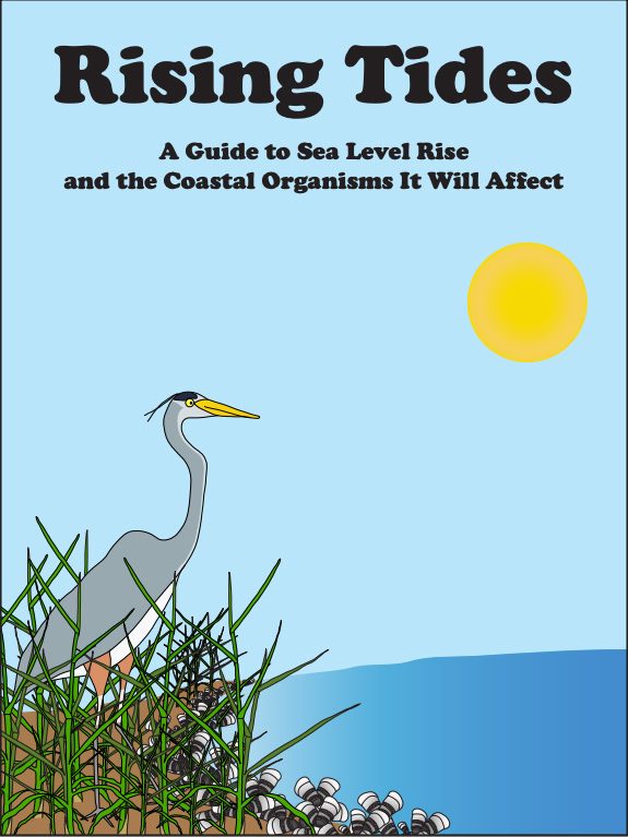 Children's Books - Coastal and Estuarine Ecology Lab (CEELAB)