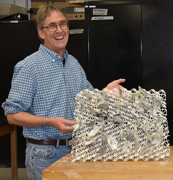 CEELAB Members - Coastal and Estuarine Ecology Lab (CEELAB)