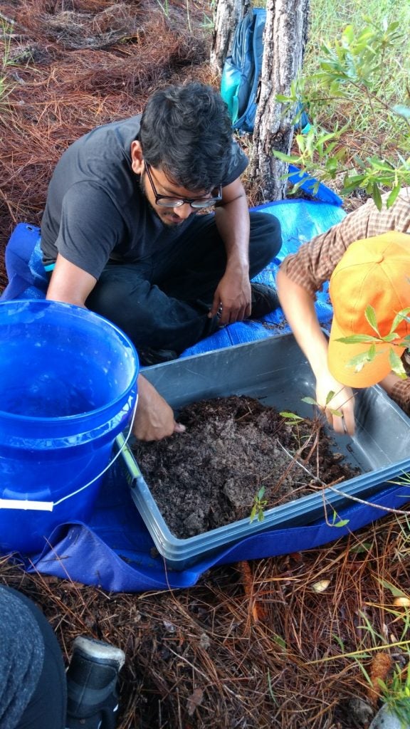 First ant collection in the books! - De Bekker Lab