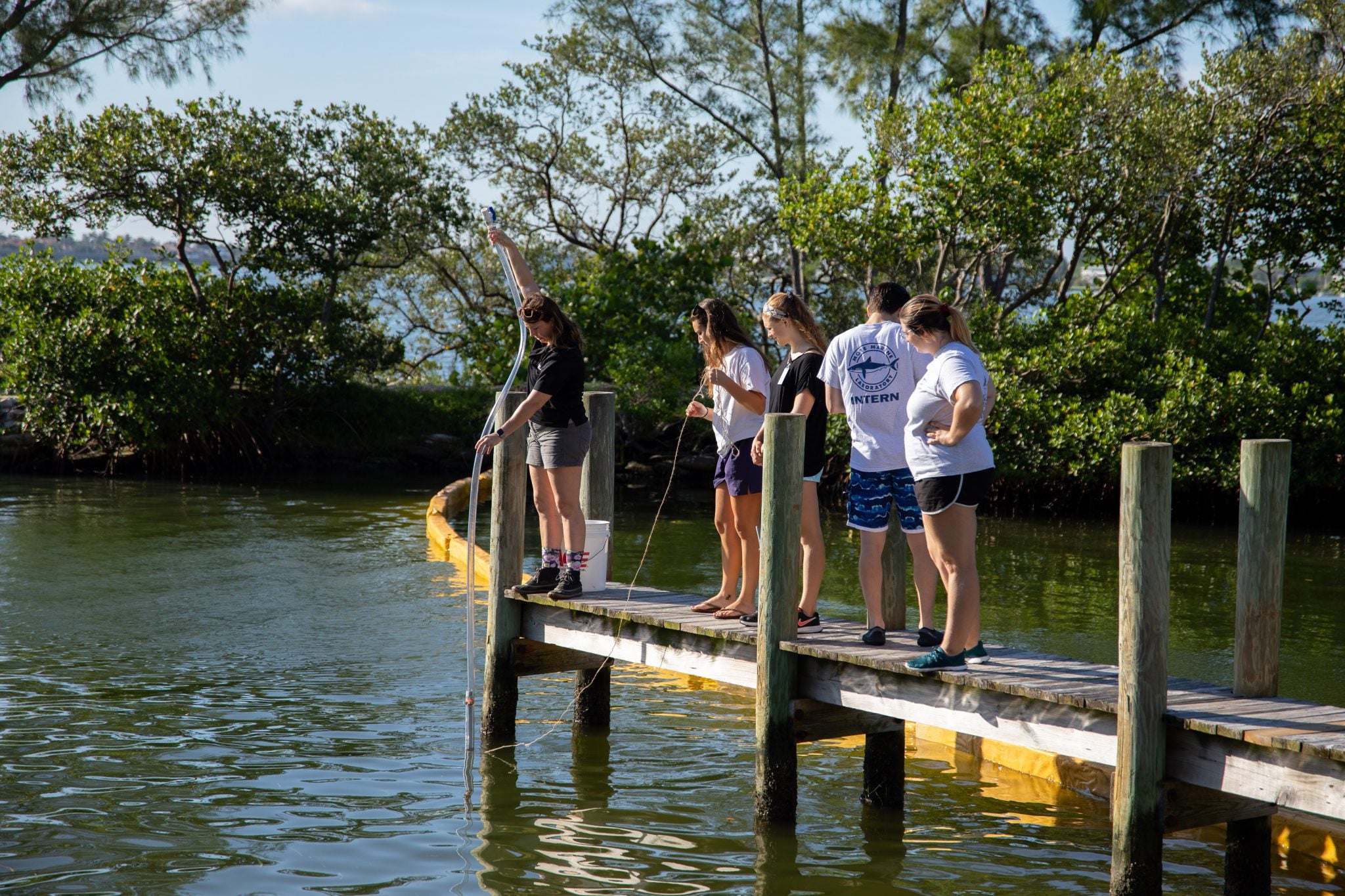 Media - Lewis Lab of Applied Coastal Ecology