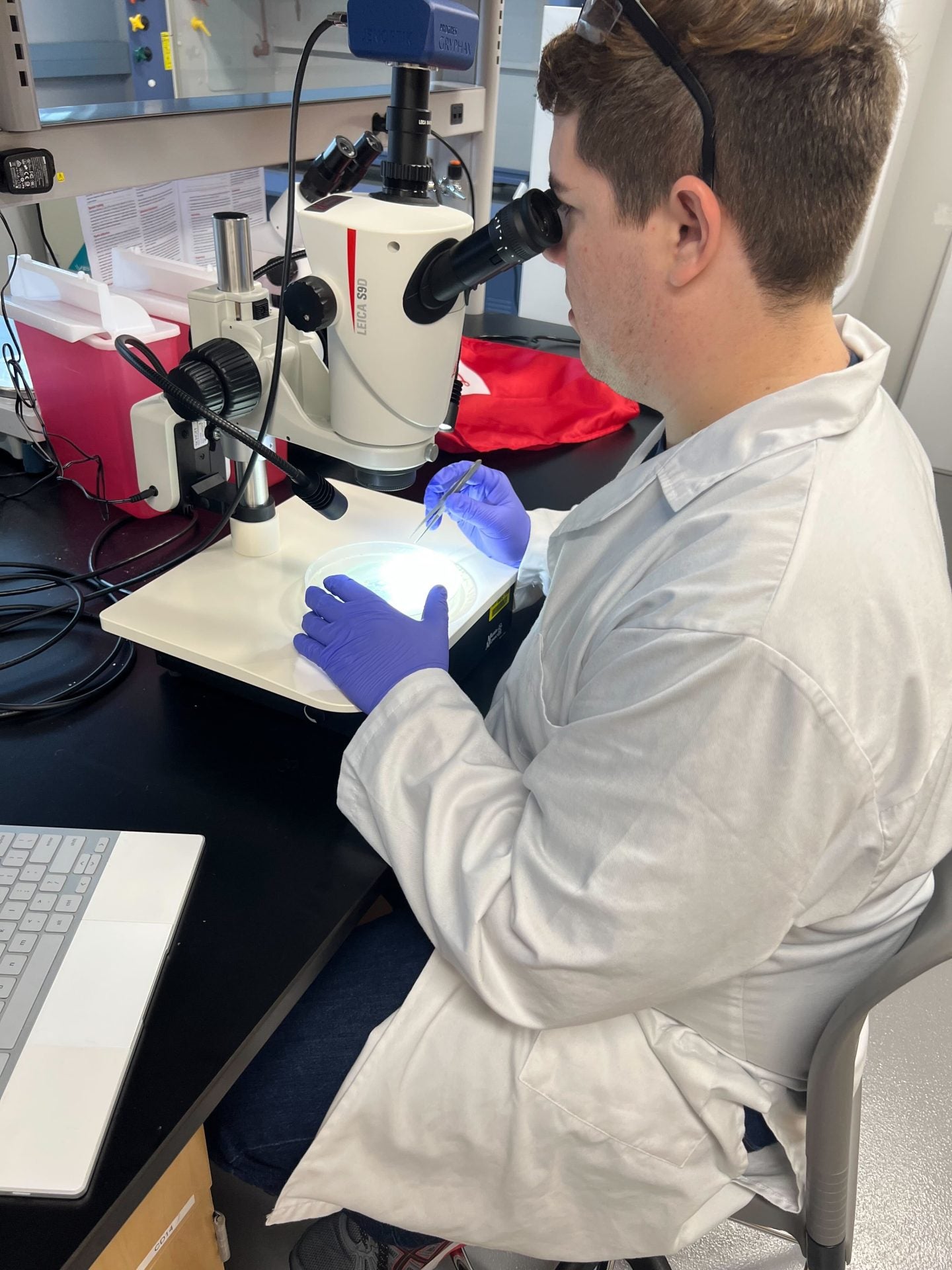 Zachary Oestmann - BS Student - Lewis Lab of Applied Coastal Ecology