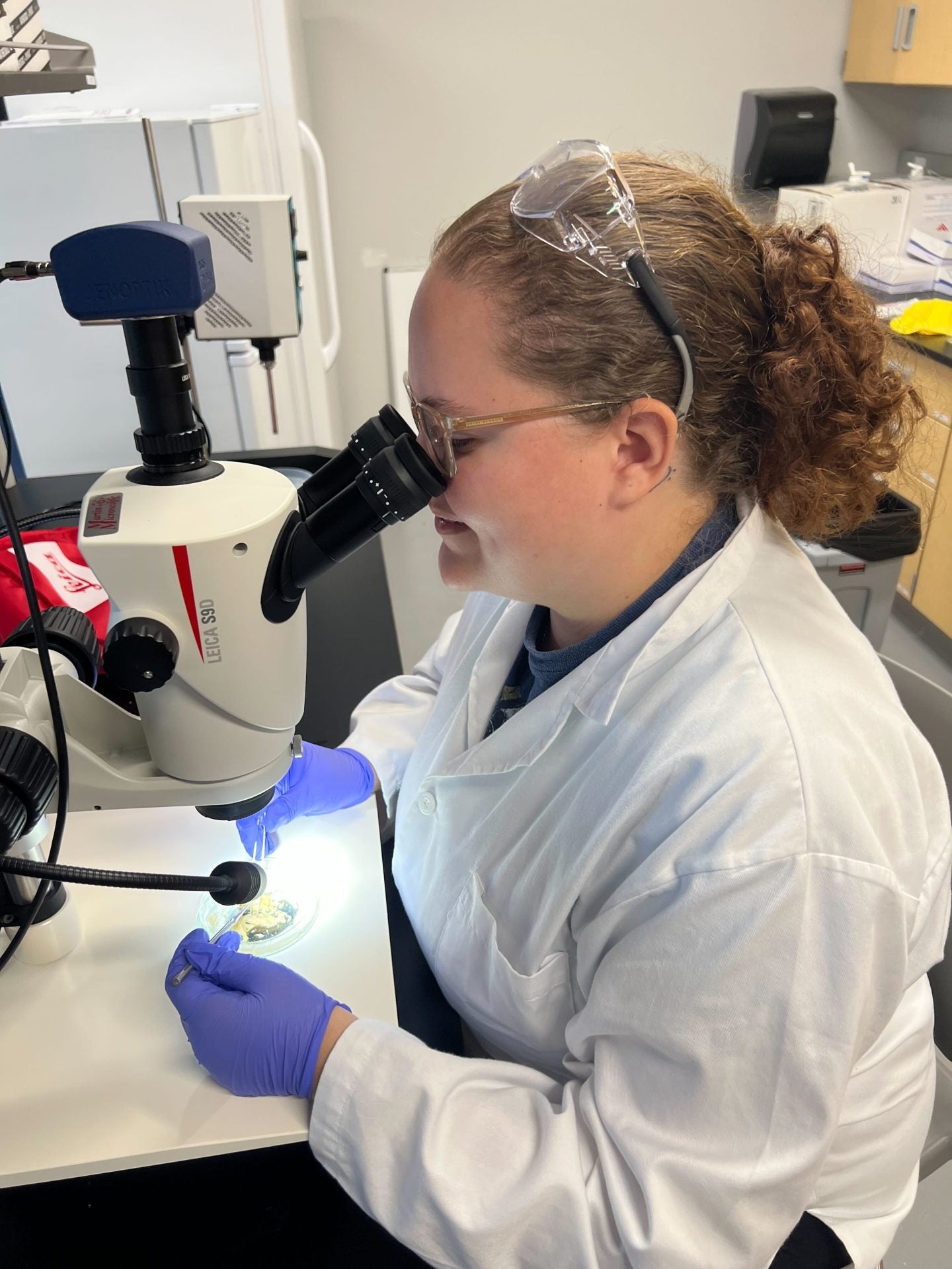 Sydney Henderson - BS Student - Lewis Lab of Applied Coastal Ecology