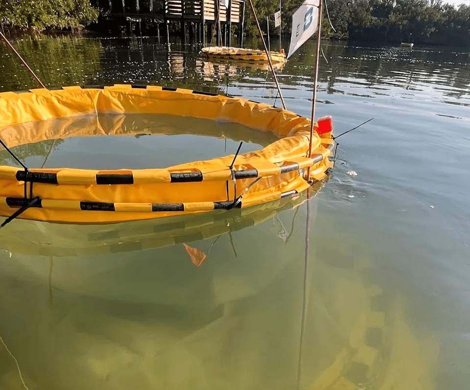 Media - Lewis Lab of Applied Coastal Ecology