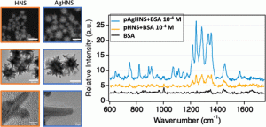 Peer reviewed papers - Shengli Zou