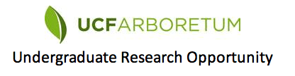 - Paid research and mentoring position for UCF students - College of ...