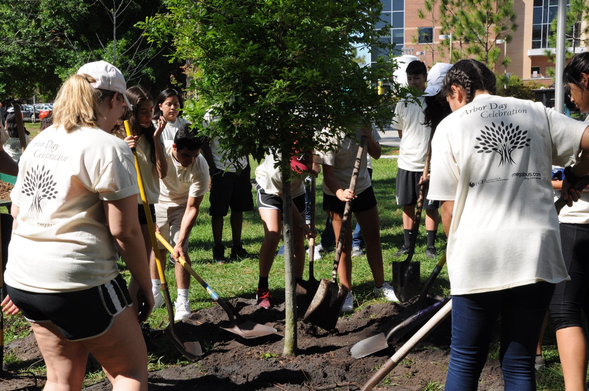 - Arbor Day Continues at UCF Arboretum - College of Sciences News - College of Sciences News