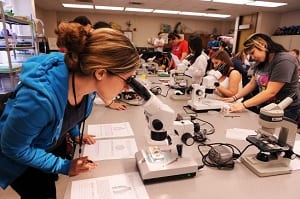UCF Biology to Offer Tracks in Fall - College of Sciences News ...