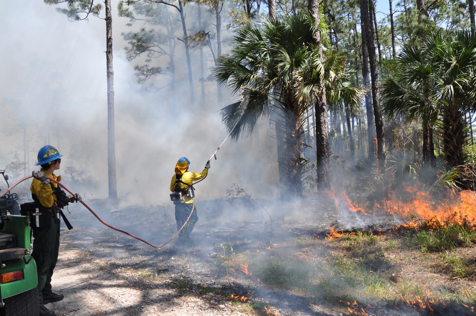 - Burning Questions - College of Sciences News - College of Sciences News