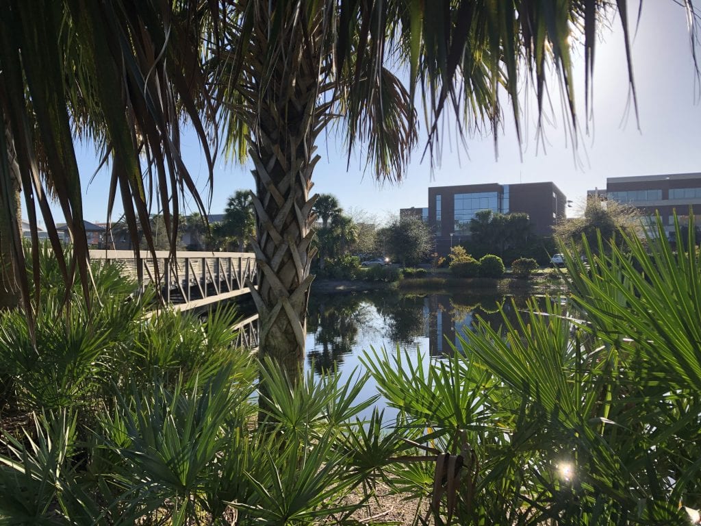 UCF Stormwater - College of Sciences News - College of Sciences News