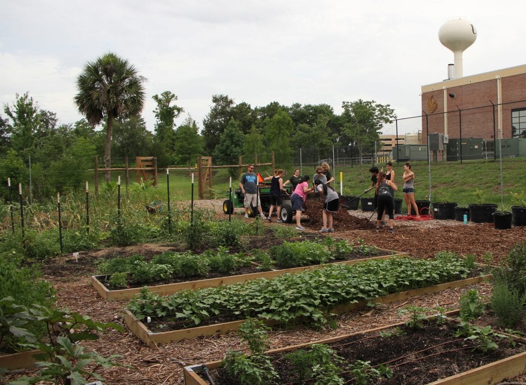 College of Sciences NewsUCF Arboretum Archives - College of Sciences News