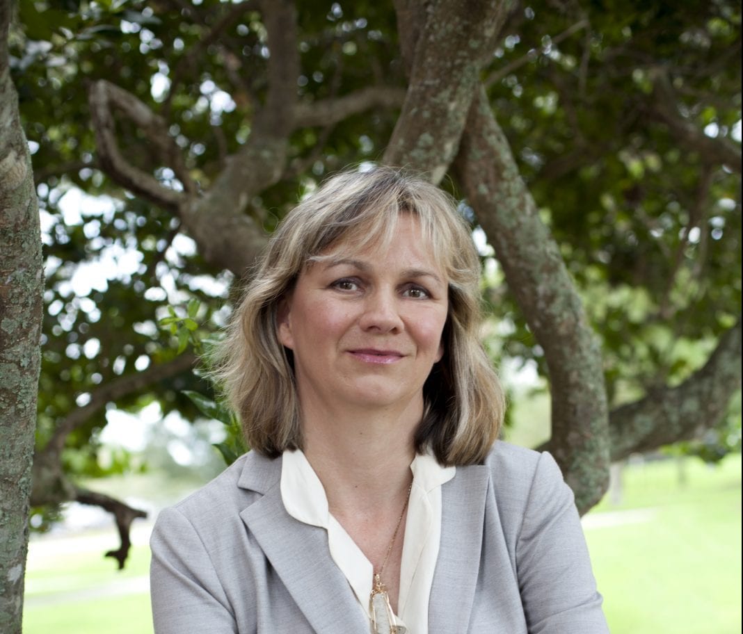 Hamann Named A Vice President of American Political Science Association ...