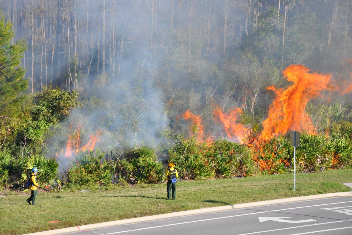 Fighting Fire with Fire: How Controlled Burns Keep Us Safe - College of ...