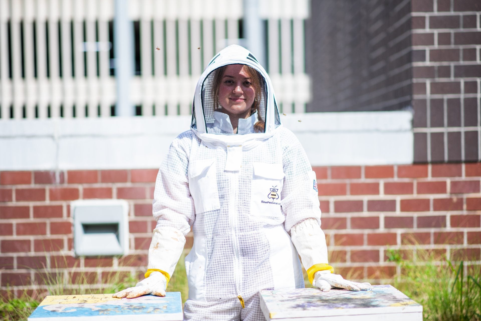 Alumna Takes On Role as First Orlando Beekeeper - College of Sciences News