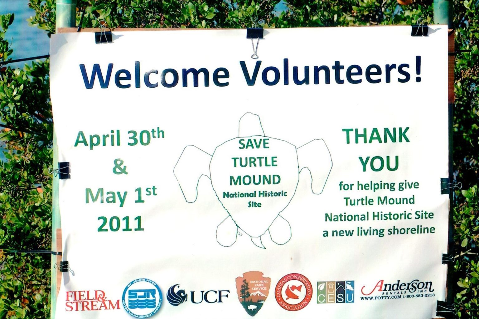 - CEELAB Marks 25 Years of Coastal Restoration - College of Sciences ...