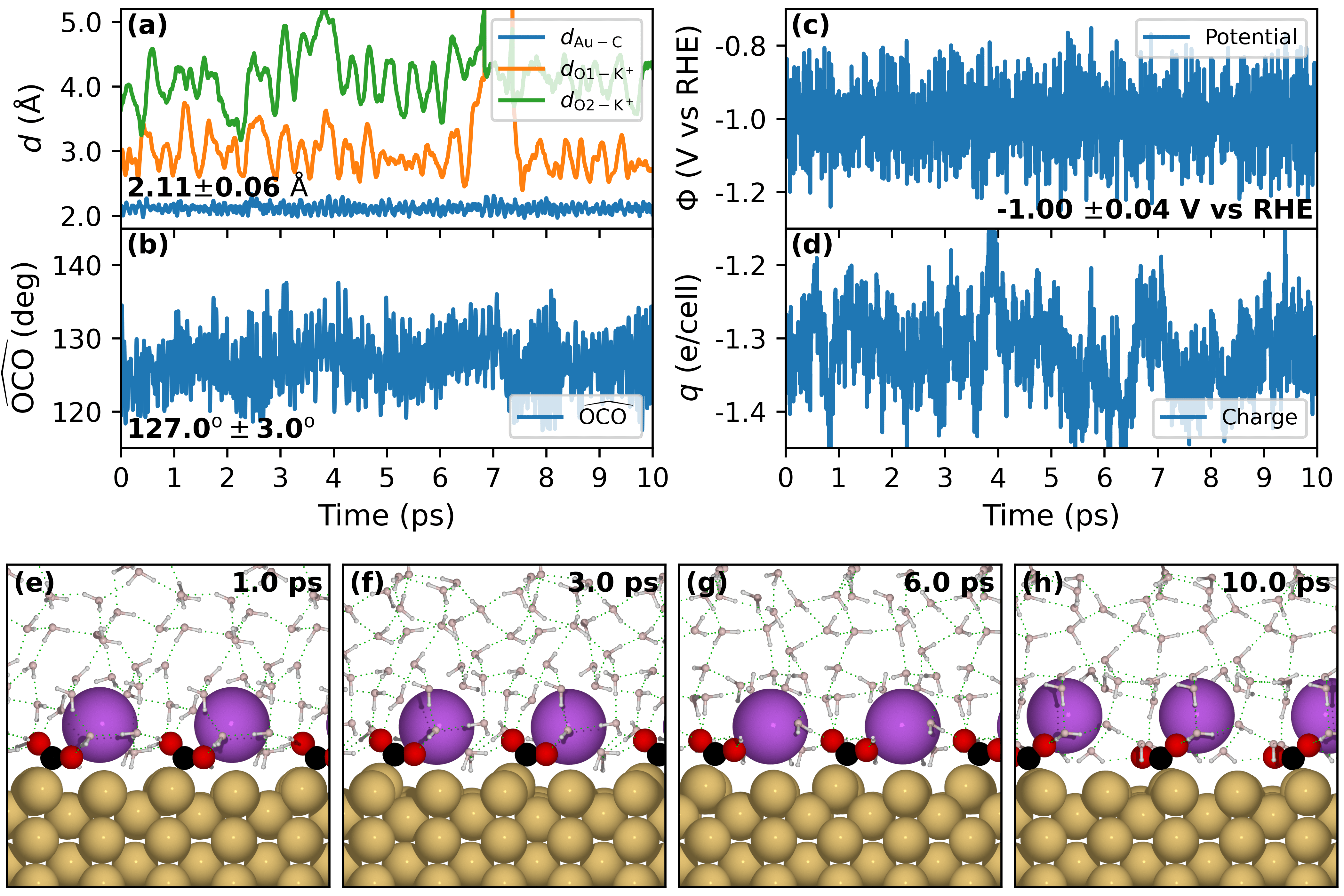 TPOT package - CoMET