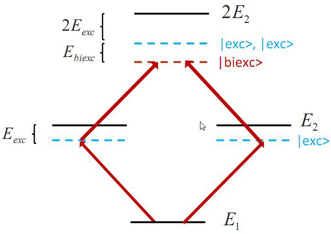 Time Dependent Density Matrix Functional Theory For Biexcitonic