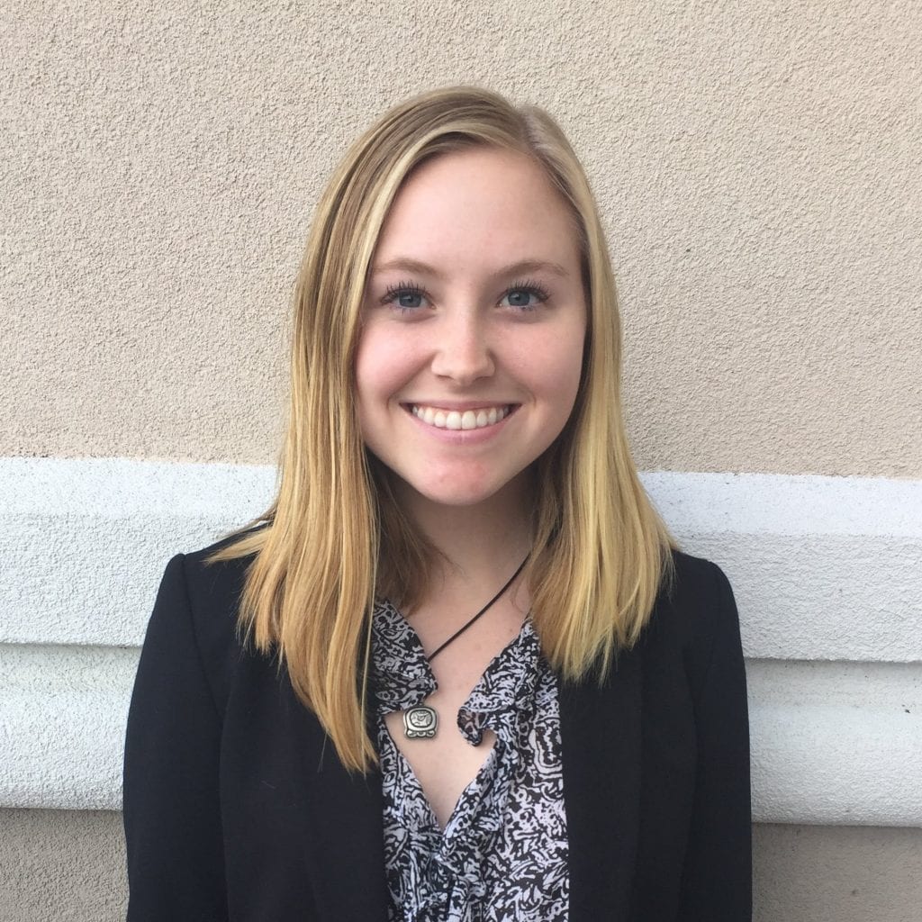 Research Group – Kurdish Political Studies Program