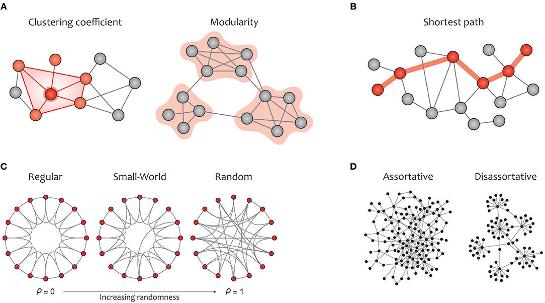 Dr Lighthall Contributes To New Systematic Review Of Graph Theory