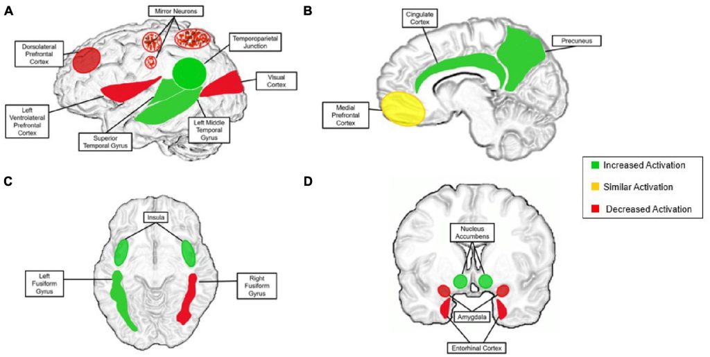 Doheny and Lighthall publish paper on social cognitive neuroscience in ...